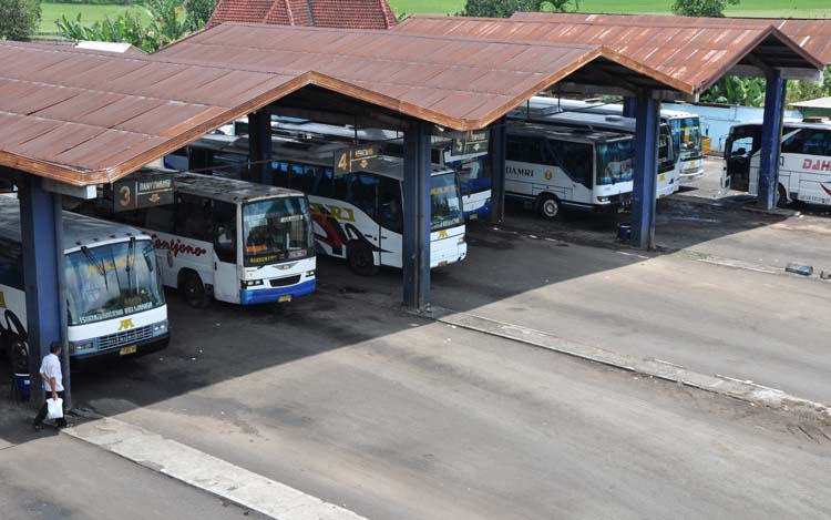 terminal tawangalun jember - SEPUTAR BUS INDONESIA