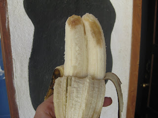 Adrian's Excellent Adventure: Attack of the Mutant Costa Rican Banana