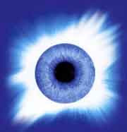 Rayid Centre: Que es Rayid?