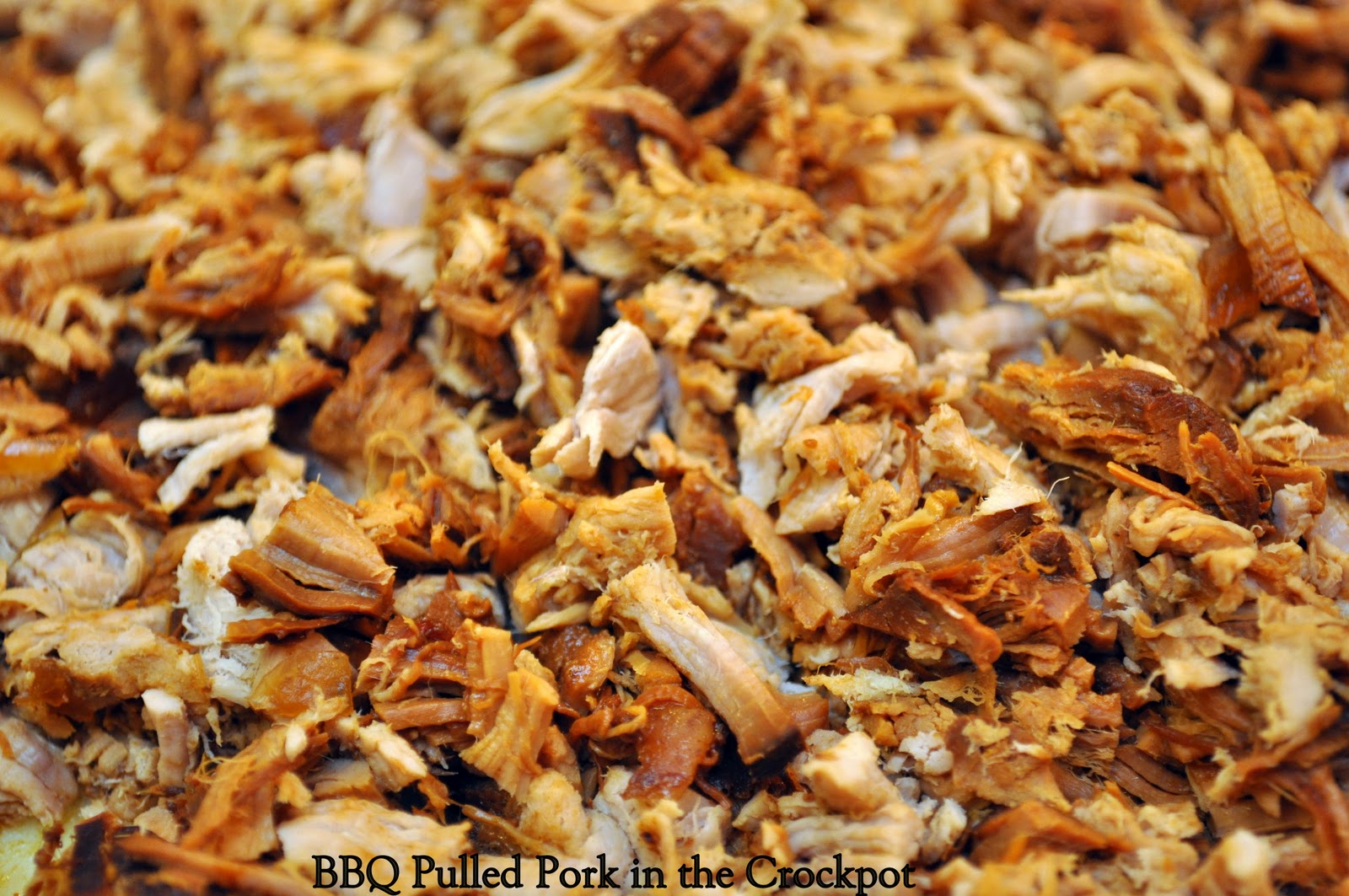 Crockpot Redemption? (BBQ Pulled Pork)