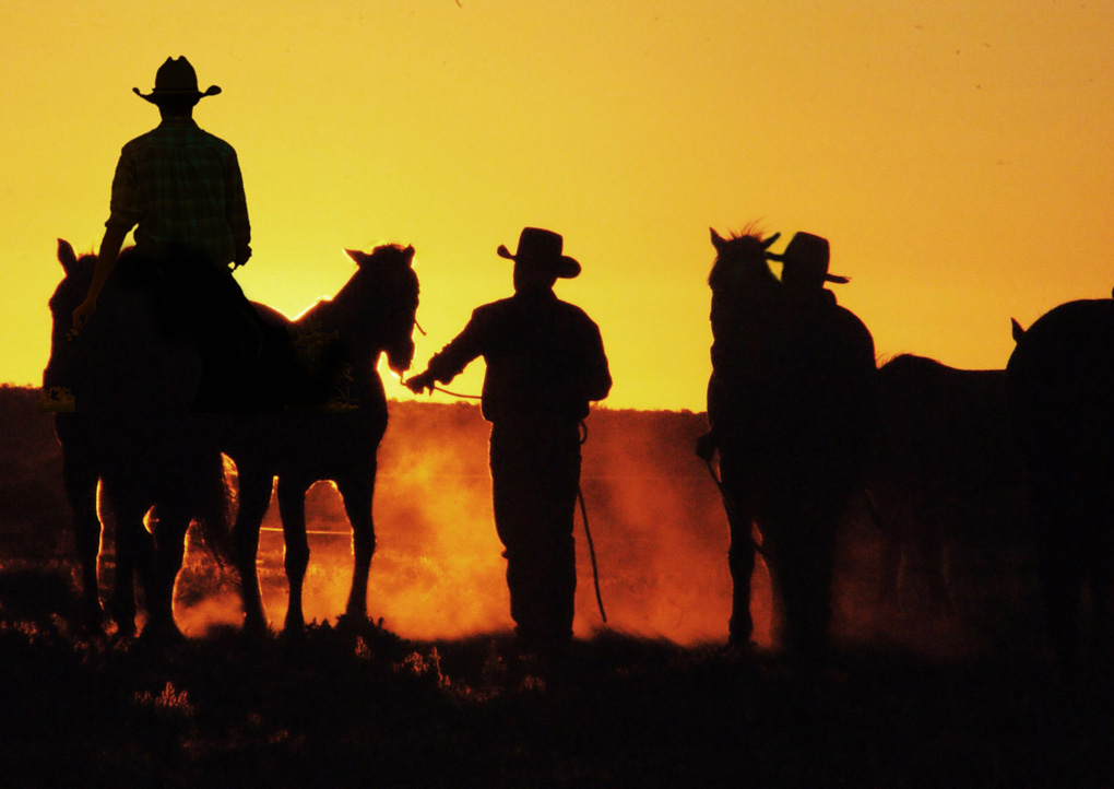 Intelliblog: THE THREE DROVERS