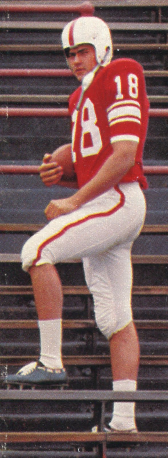 Bob Lemke's Blog: Roman Gabriel added to my '55-style set