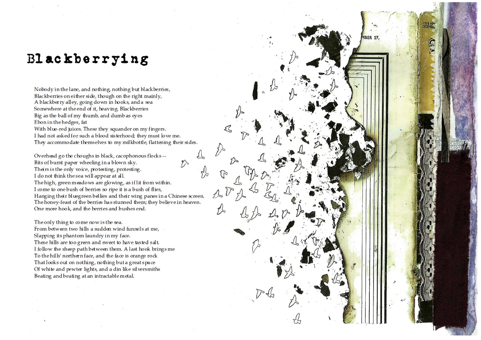 `: Sylvia Plath Illustrated Poems