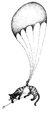 SmartyKatz: Operation cat drop