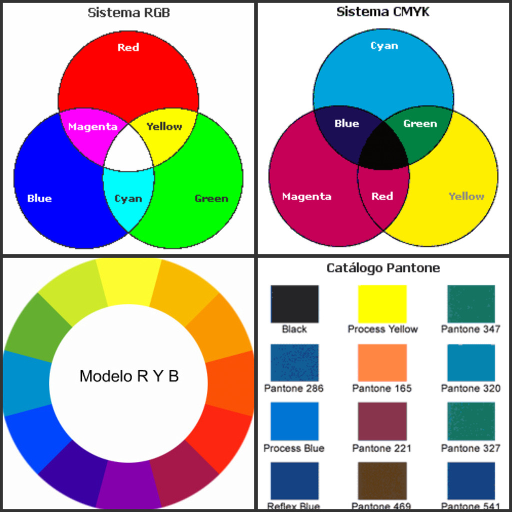 Rosa cromatica de 12 colores - Imagui