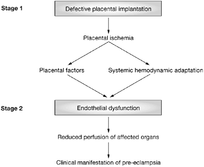 Wockhardt Hospitals Blog: Causes,Symptoms and Complications of Pre ...