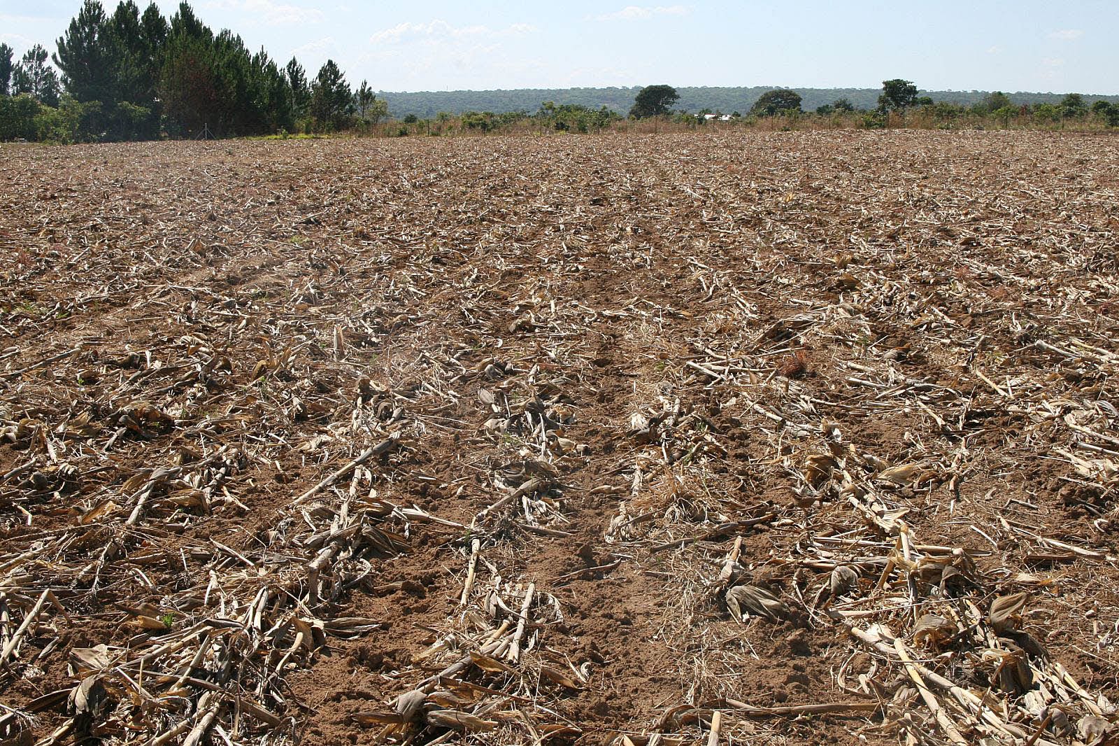 Hope Children's Center: A Heart-Opening Experience