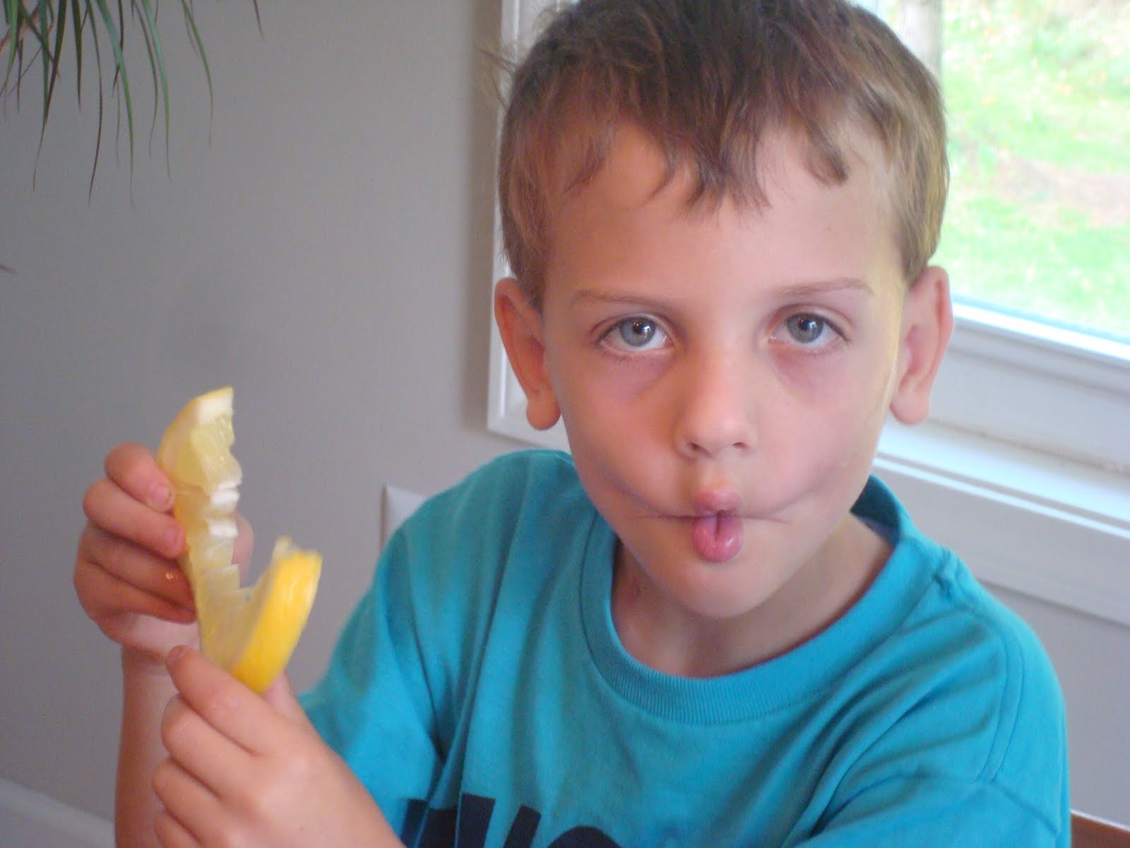 Journeying with Joy: FIAR Co-op - Lentil - Part 1