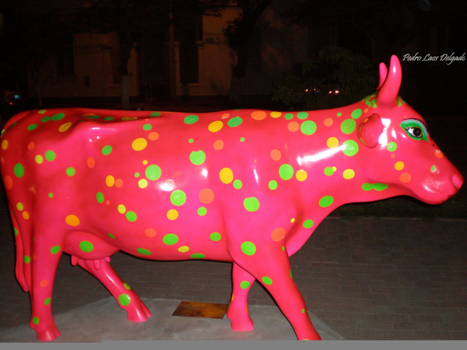 Cow Parade | Atractivos Turísticos del Perú