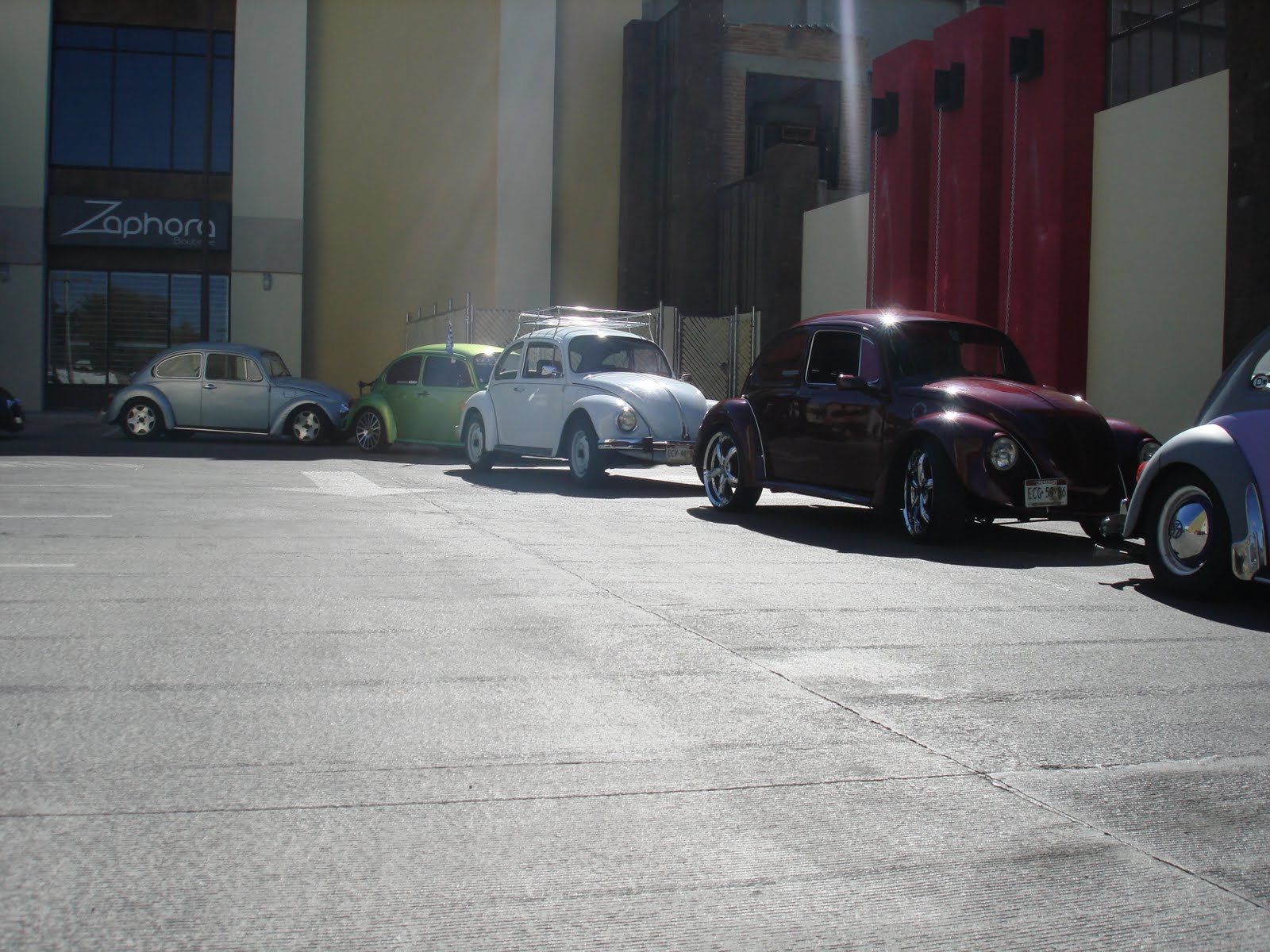 freestyle bugz: Elite La Cerve CAR SHOW