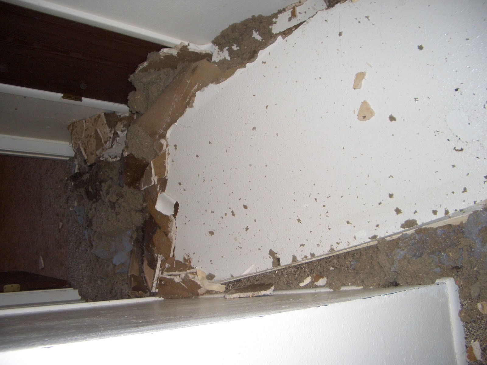 MINI ROBERTS CLAN: The ceiling is falling! The ceiling is falling!