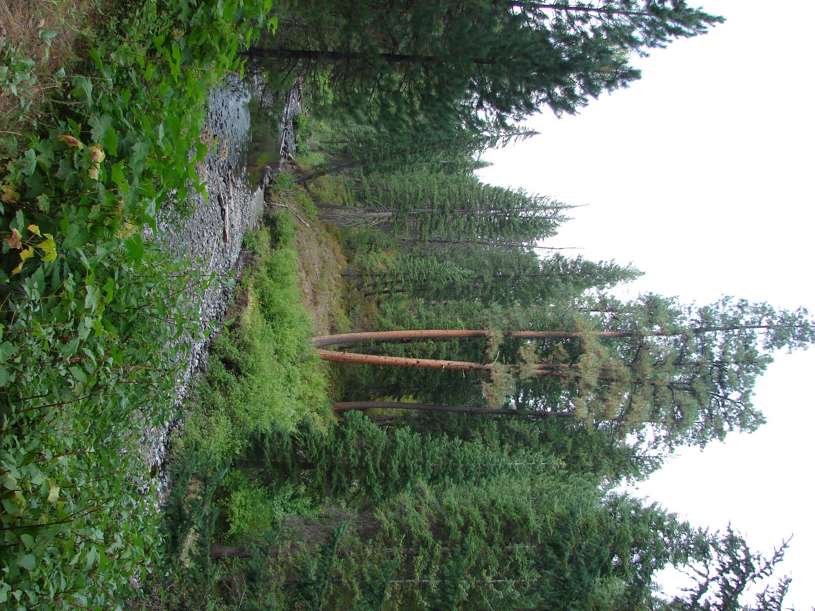 Archery Elk Hunt Idaho: 8/30/10 Opening Morning Idaho Archery Elk Hunt ...