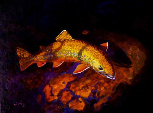 Fly Fish Idaho Rainbow, Brooke, Brown, Trout: Mike Savlen Full Color ...