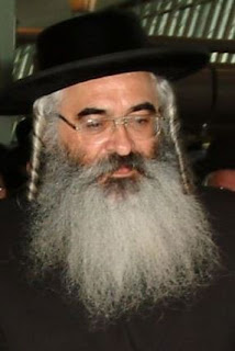 Moreh Nevuchim: The Not-So-Promised Land: Meeting With the Dushinsky Rebbe