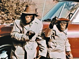 Atomic Caravan: TV Tuesday! - Lancelot Link, Secret Chimp (1970-1972)