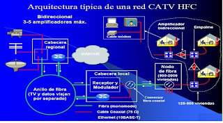 recuerdos marley: RED HFC
