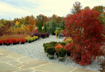 Oak Ridge Shrubbery & Landscaping, Inc.: It's not too late to plant!