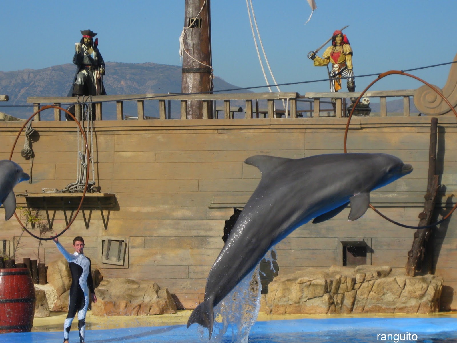 RANGUITOBLOG: Delfín volador