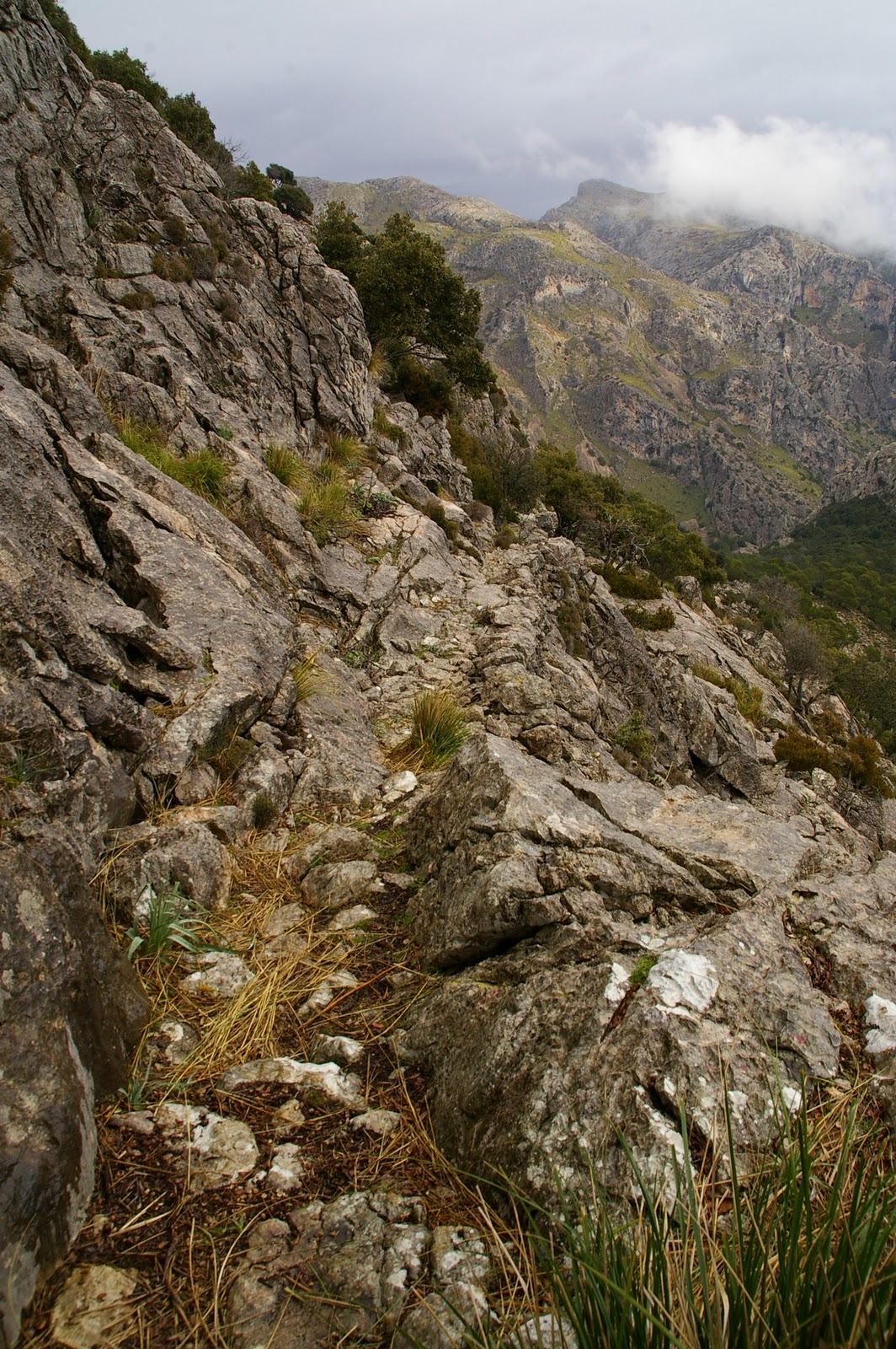 TRESQUES PER TRAMUNTANA: SA RATETA