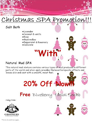 Puppy Cottage: Christmas Spa Promotion