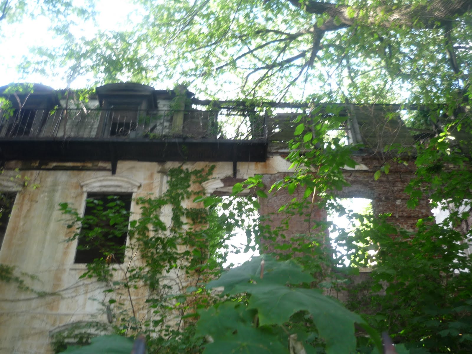 Never had a dream come true, until the day i huffed glue.