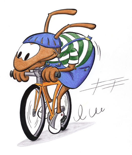 Julia Österlund: Dåren