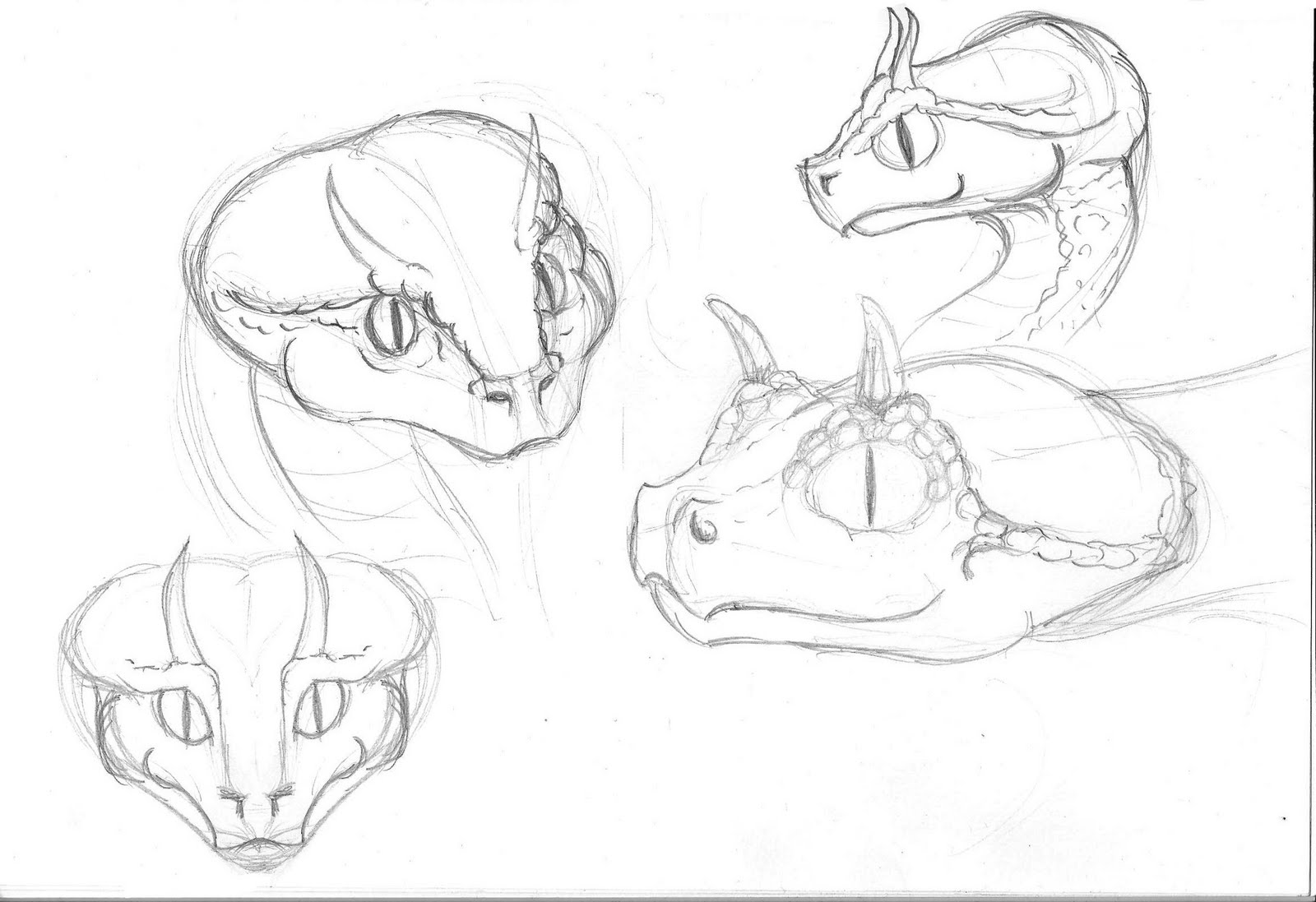 John Wendels: Creature Concept Sketches