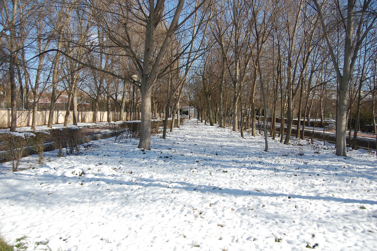 mis fotografias: Santa Maria del Campo Rus