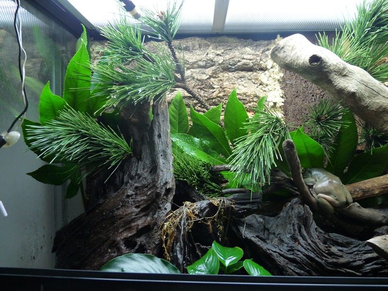 Vivariums/Paluduriums/Terrariums: Various types of Vivariums