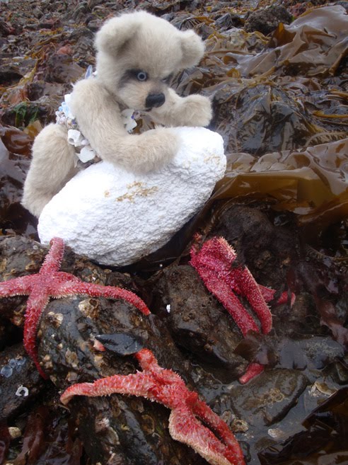 Our Seldovia: Minus 4 in Seldovia