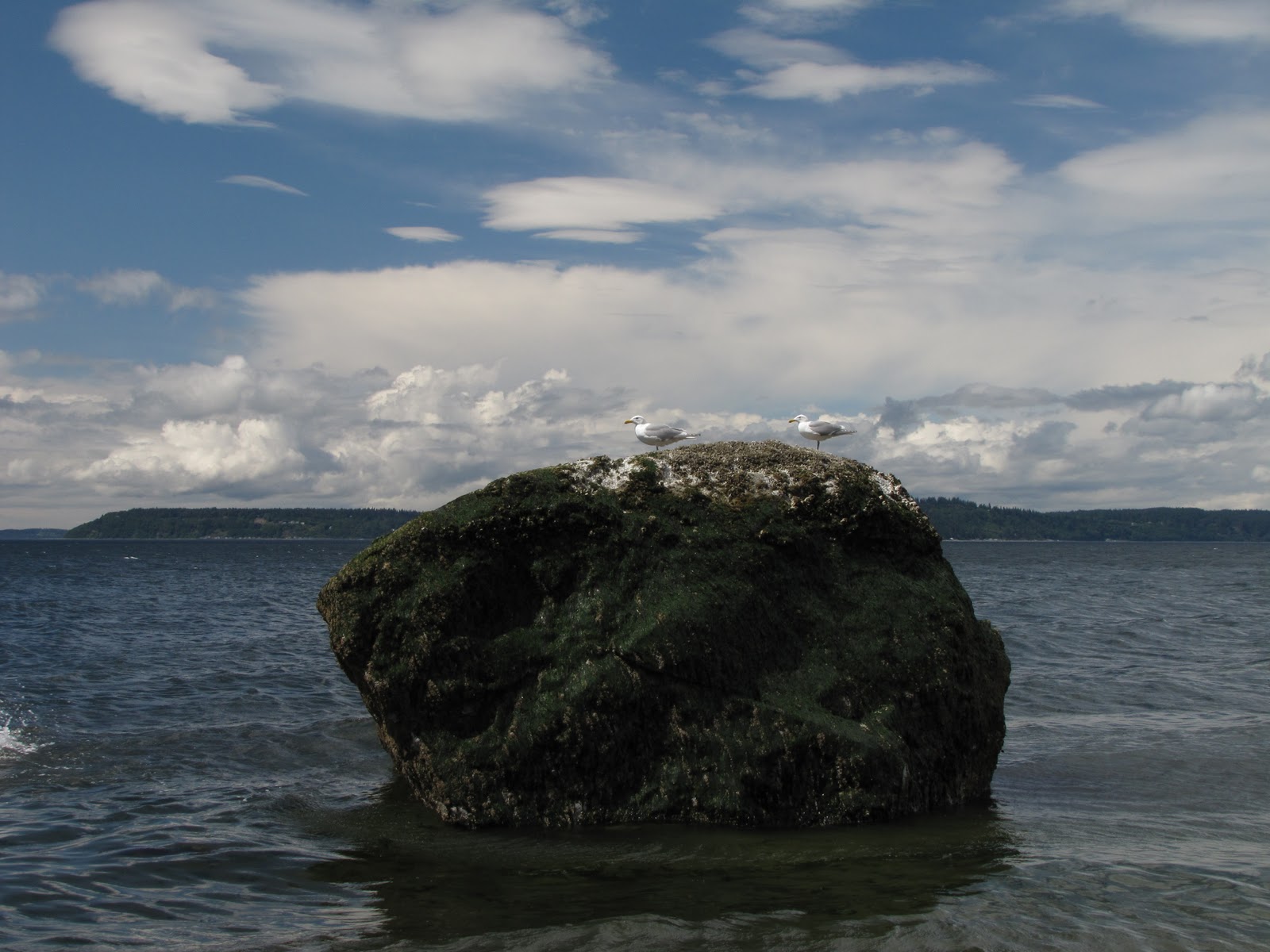 Northwestern Perspectives: Glacial Erratics