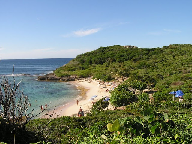 Come fly with me: Tarare beach in Guadeloupe