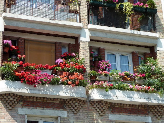 Daily Photo in Paris: Parisian windows