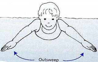 Swimming Teaching: Learn How To Swim 101: Breaststroke - the Arm Action: