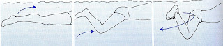 Swimming Teaching: Breaststroke Kick: Learn How To Swim 101 - the Leg ...