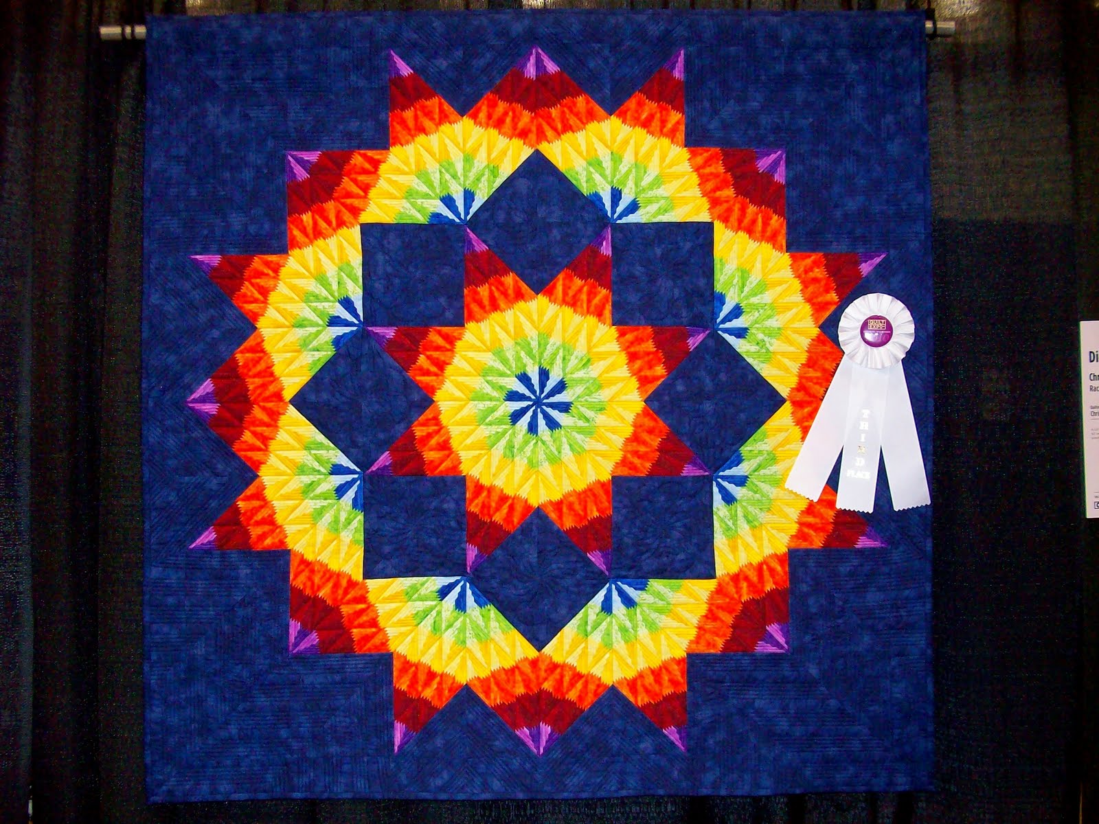 Quilt Talk: Quilt Expo 2010 Quilts