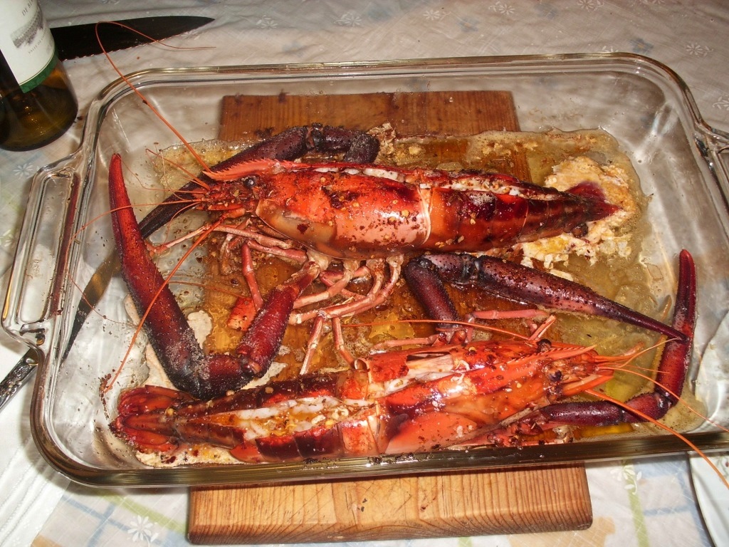 El Fogón de Leña: Acamaya de río.