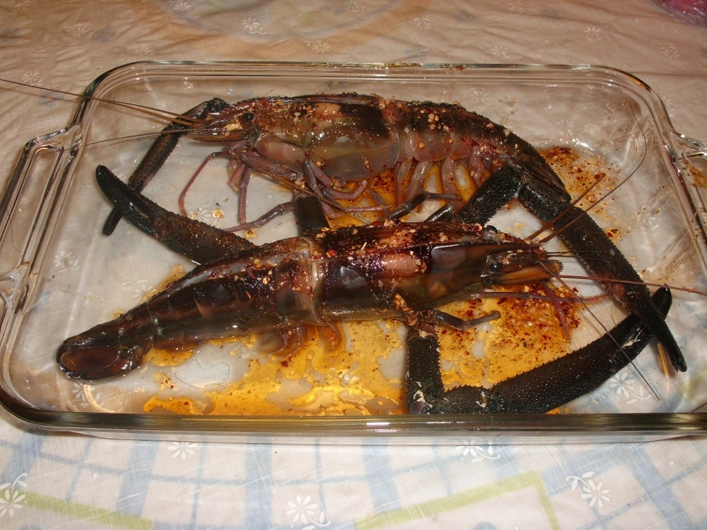 El Fogón de Leña: Acamaya de río.