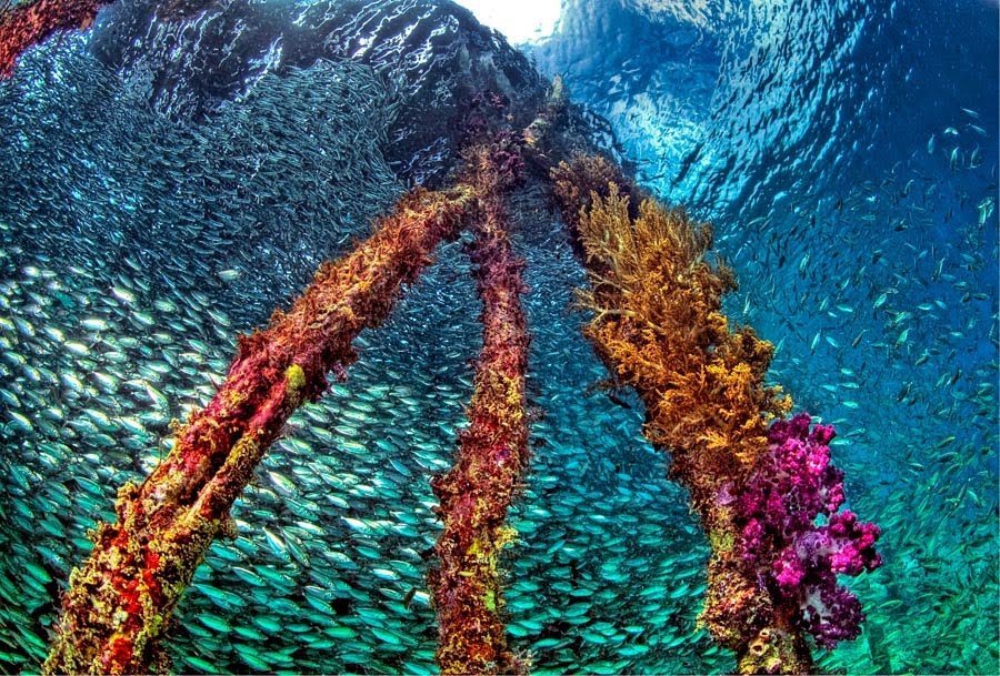 Last Flight Out Photography: Underwater HDR