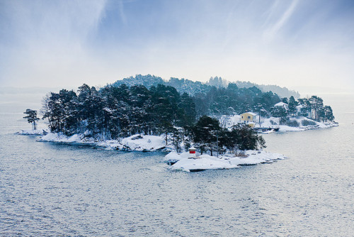 Waiting in the shade sitting on a brick ...: The wonders of winter
