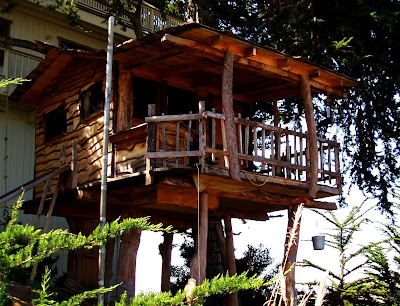 Ultima Thule: Living in a treehouse - an ultimate life challenge