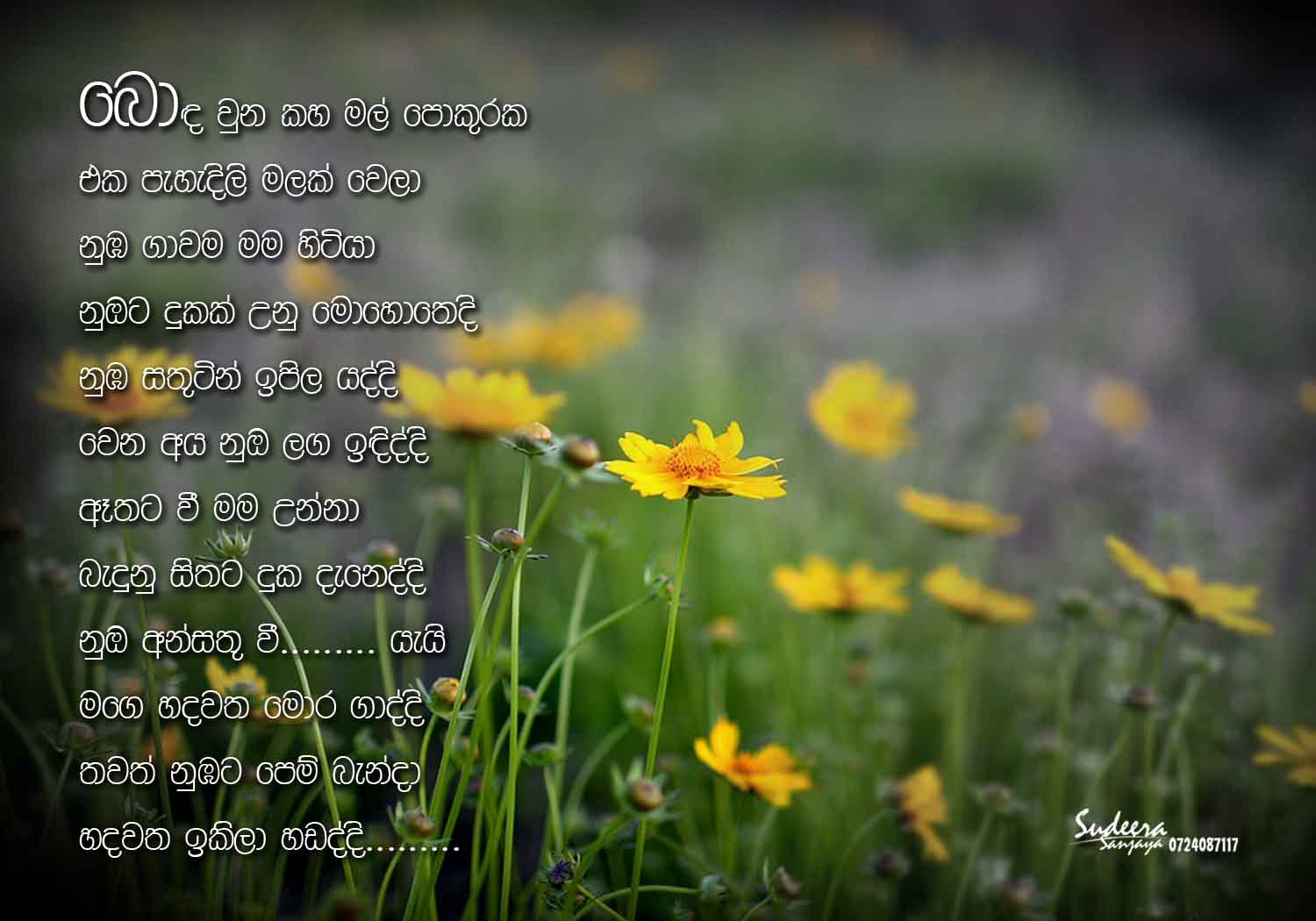 Srigraphics: Nisadas Kawya