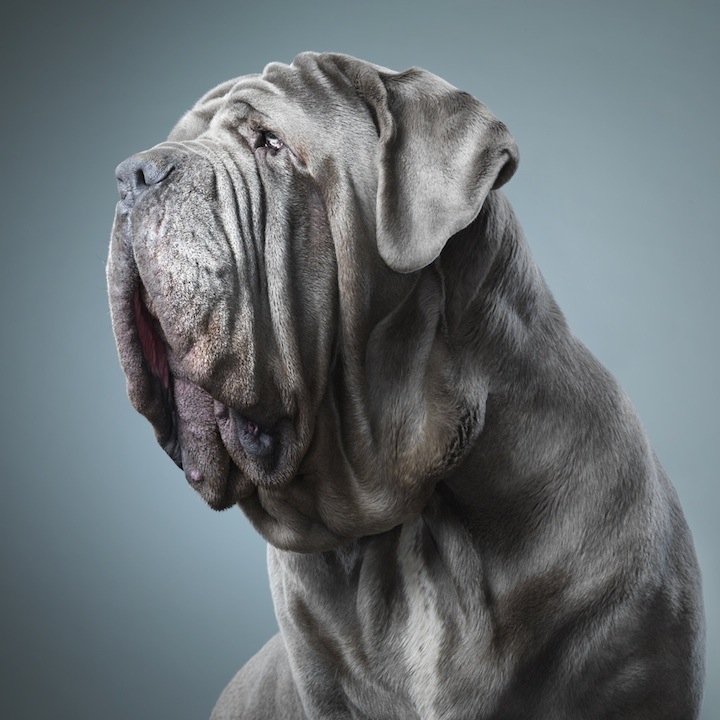 WILD THING: Tim Flach