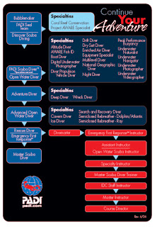 SEA LIONS DIVE CENTER NEWS: AUGUST SPECIALTY CLASSES