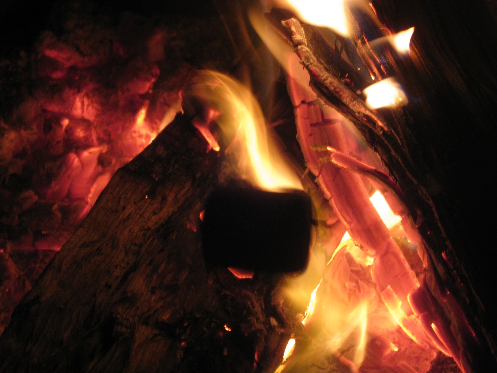 Science Minus Details: Why Fire is Cool - entry #3 - Ash Ash Baby