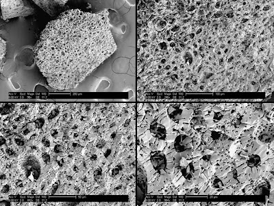 Busy, busy, busy...: Charcoals: Electron Microscopy Study