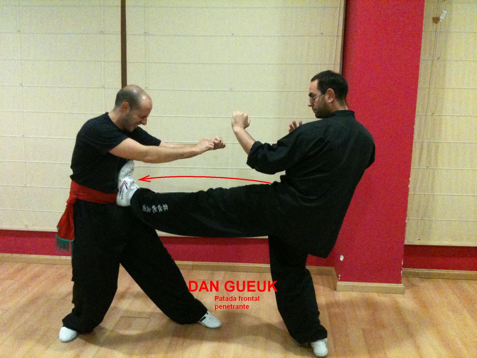 Escuela de Artes Marciales Tin Sing Kwun: LAS PATADAS DEL KUNG-FU, por ...