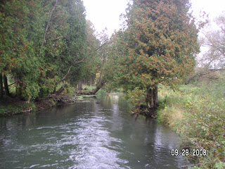 Trout Fishing Western Wisconsin: Black Earth Creek, Dane County, 09/29/08