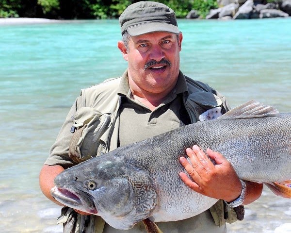 Passionpesca: Marmorata catturata in Slovenia.