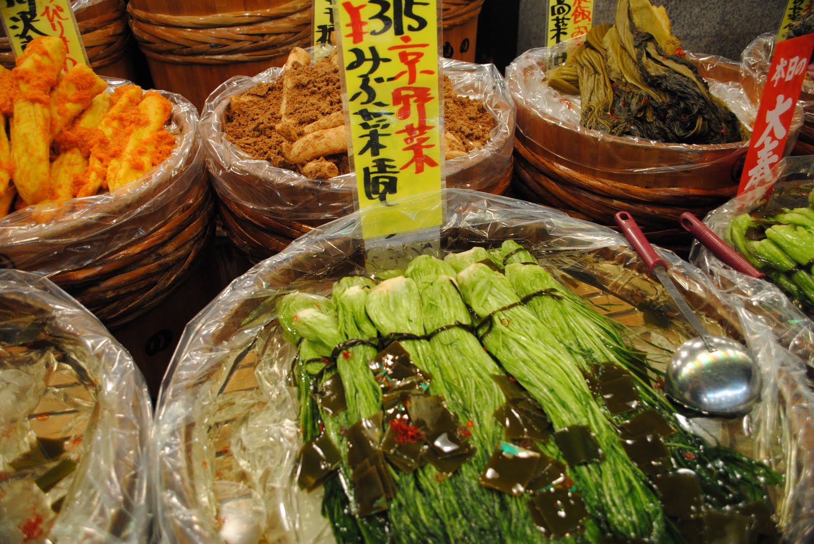 Lesley-Ann in Japan 日本: Day 77: Nishiki Market, Kiyozumi dera & Zen gardens